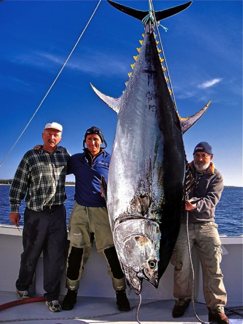 Thunfische - BWF - BluewaterFishing.eu