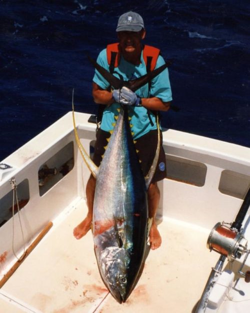 Thunfische - BWF - BluewaterFishing.eu