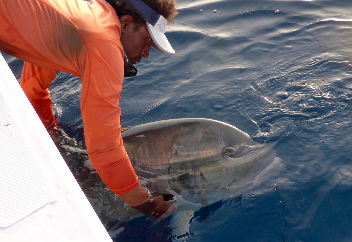 Oman 2018 - BluewaterFishing