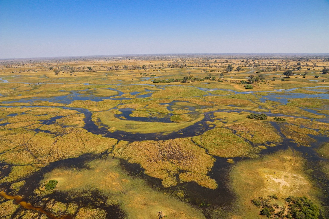 Botswana - 2023 - BluewaterFishing